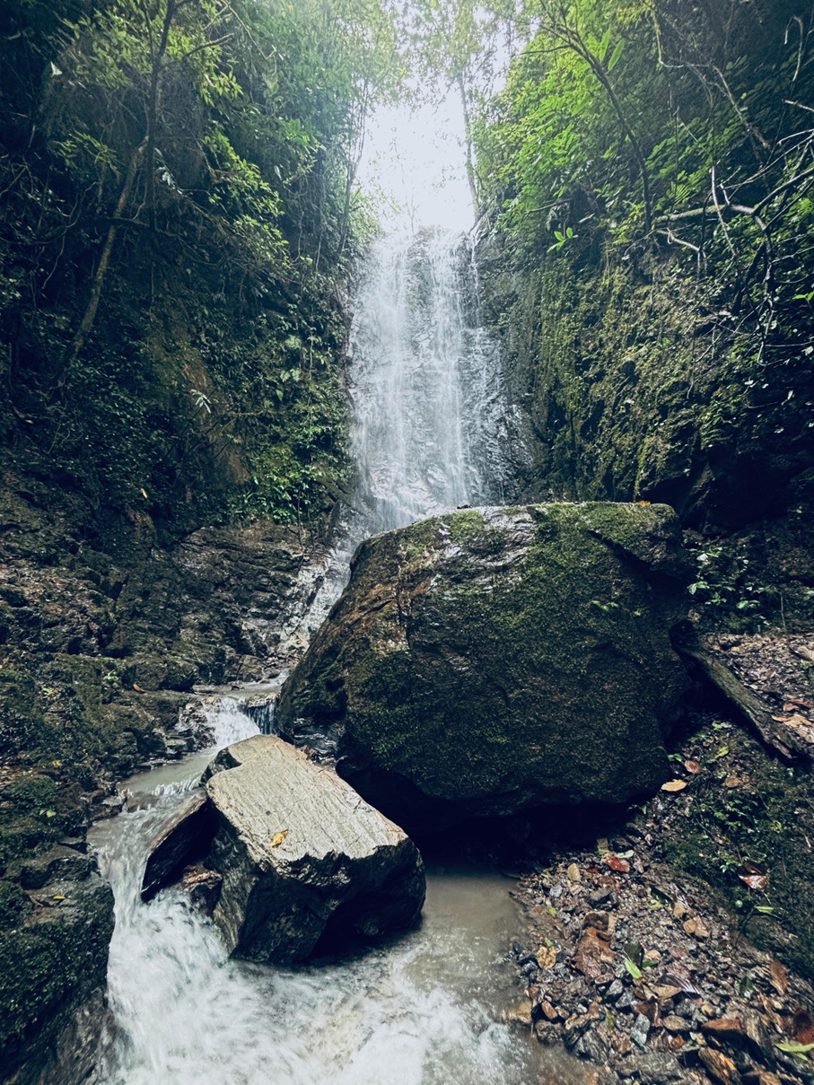 chamong Nature Bliss Homestay - Darjeeling Kalimpong Tourism